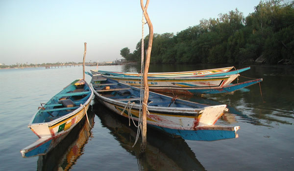 Dakar Senegal Summer Program
