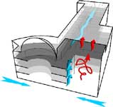 Case Studies in Sustainable Design Winter 2005