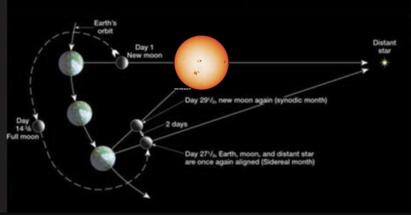 The Month Based On The Phases Of The Moon the Synodic Month Is Longer The Month Based On The Phases Of The Moon the Synodic Month Is Longer