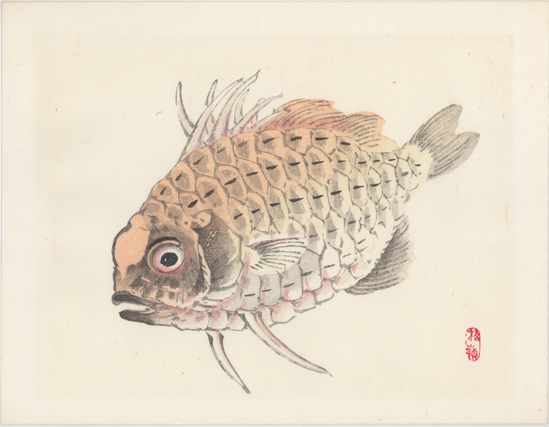 Pinecone Fish from Bairei Ekagami, volume 6 - The Lavenberg Collection ...
