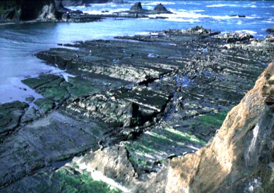 Right-lateral faults cutting sandstone. Near Coos Bay, Oregon.